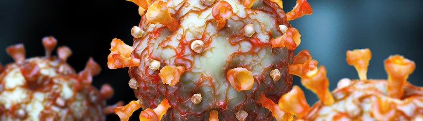 Professional and Workforce Development Portal